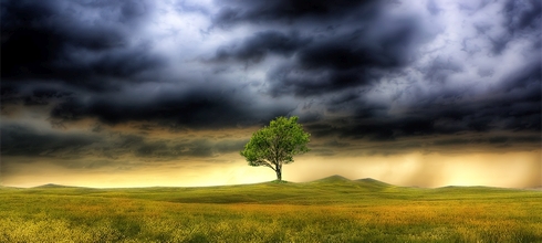 Wedden om het einde van de wereld: de Simon-Ehrlich-weddenschap - NIDI